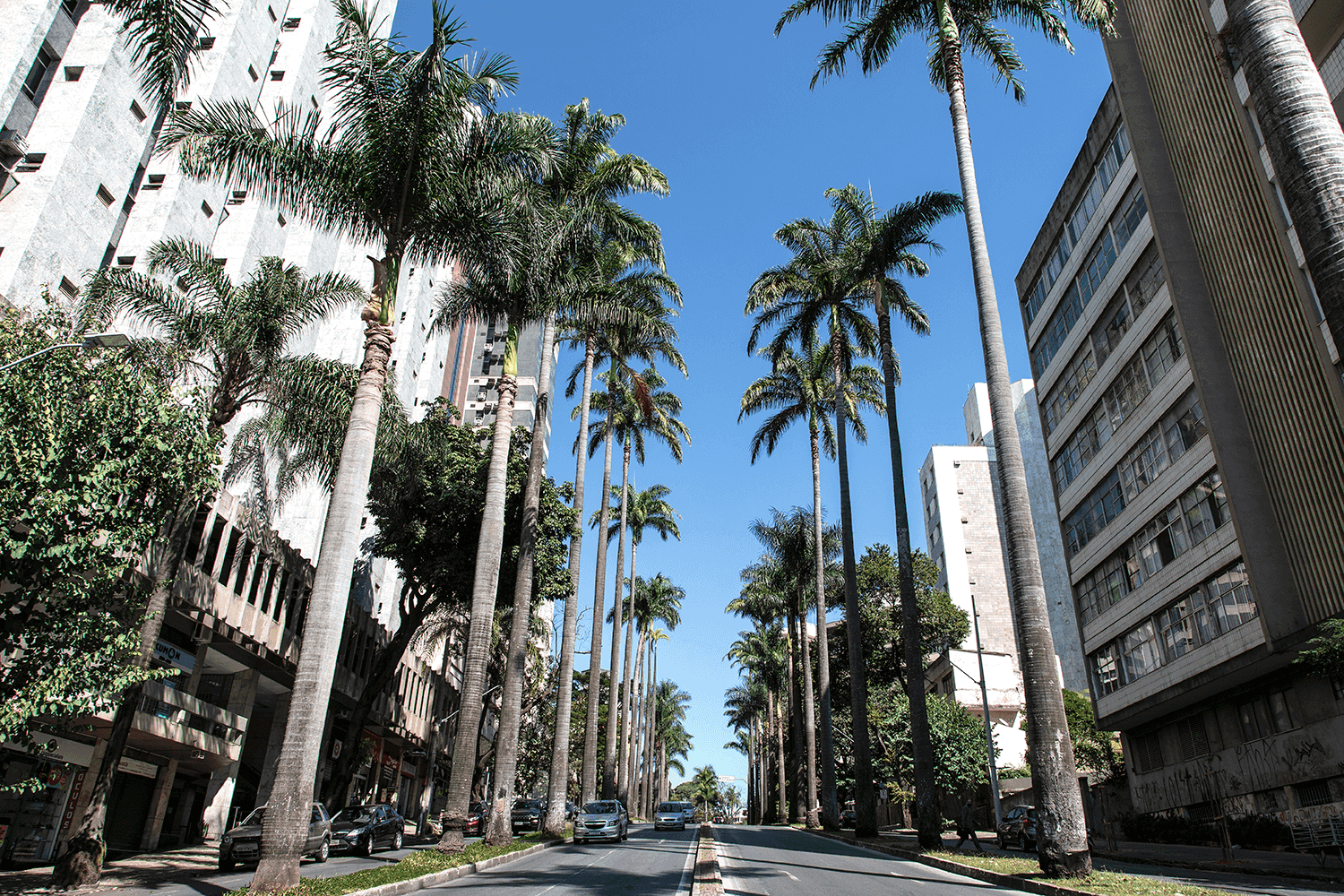 History Corporate | Edifício Corporativo BH Canopus